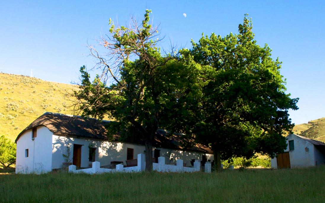 About Our World Of True Deliciousness | Cecilia's Farm