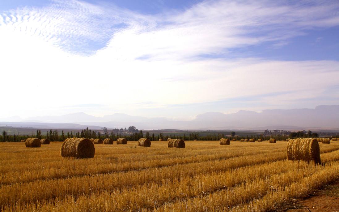 About Our World Of True Deliciousness | Cecilia's Farm