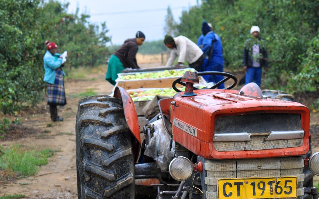 About Our World Of True Deliciousness | Cecilia's Farm