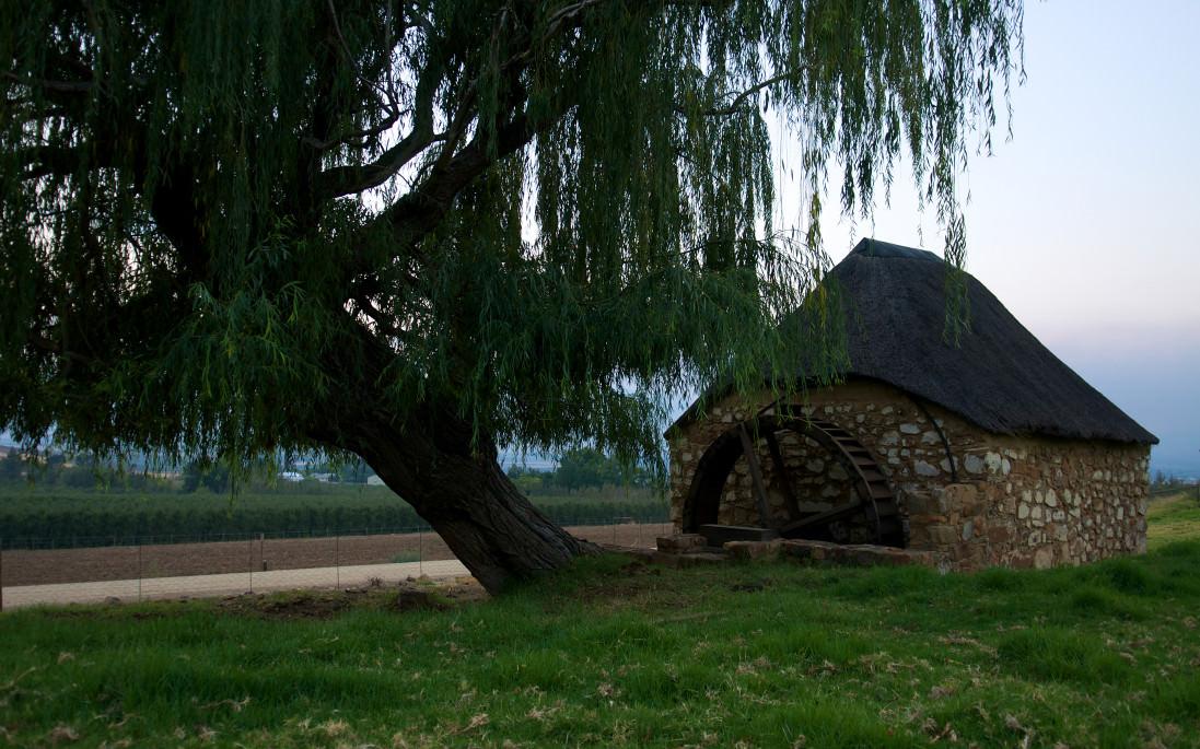 About Our World Of True Deliciousness | Cecilia's Farm